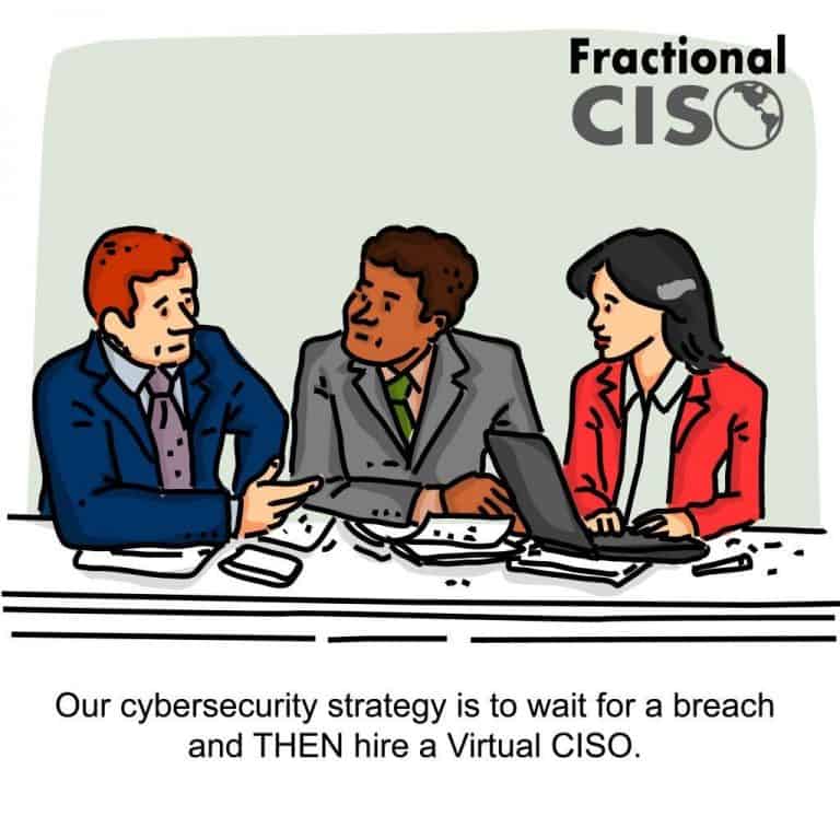 Virtual CISO (vCISO): Your Cybersecurity Expert | Fractional CISO
